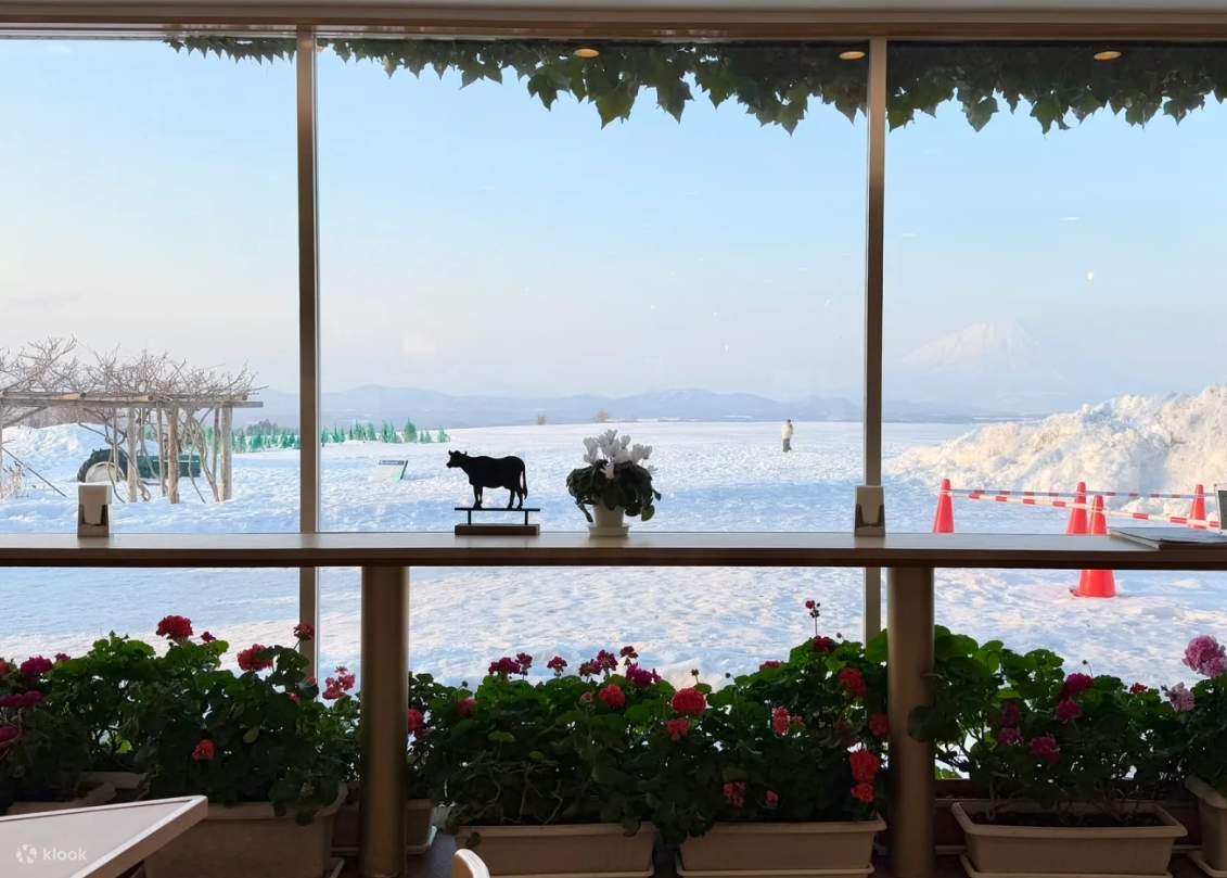 One-Day Tour from Sapporo, Hokkaido [Chinese & English Guide ...